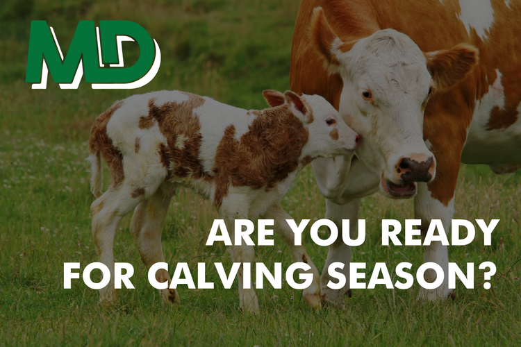 ARE YOU READY FOR CALVING SEASON? – Meirion Davies & Co Ltd / Meirion ...